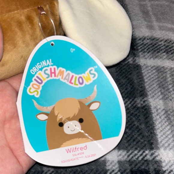 Squishmallows | Accents | 6 Wilfred The Highland Cow Sparkling Horns ...